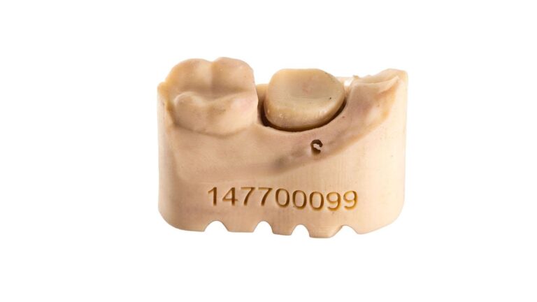 Photo Gallery - Leixir Dental Laboratory Group